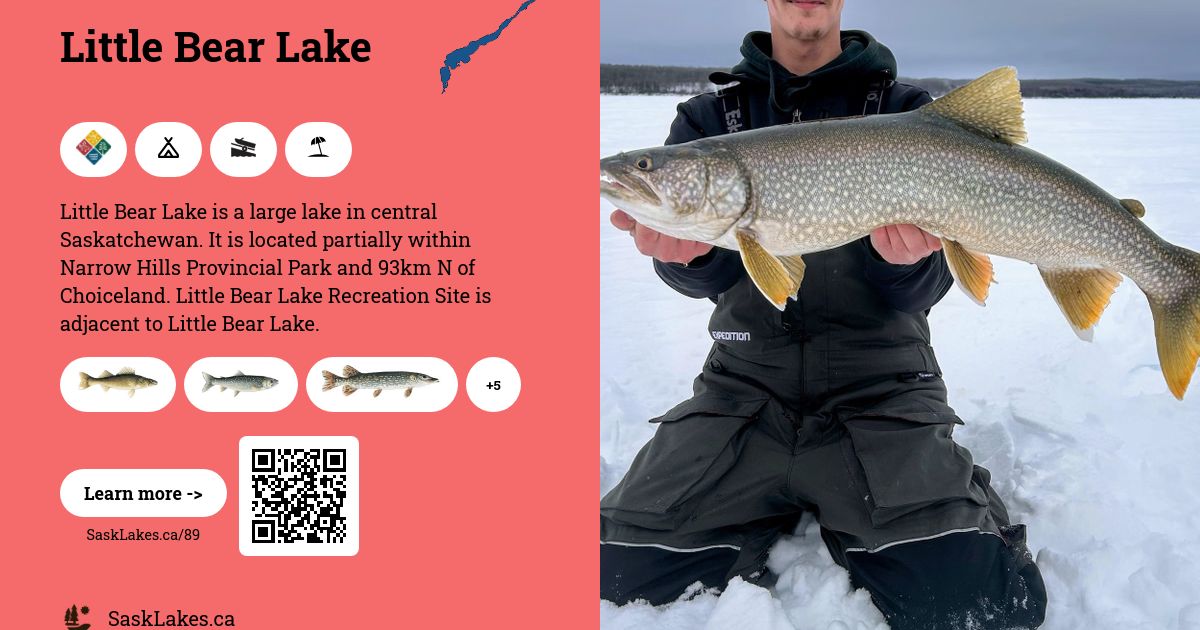 Little Bear Lake - SaskLakes